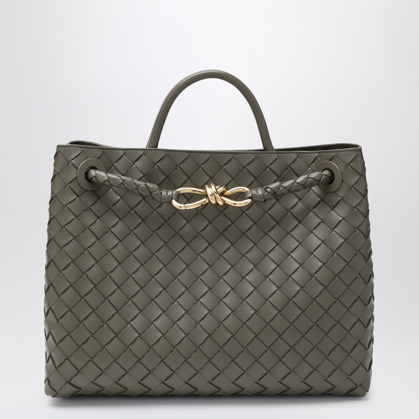 Bottega Veneta Andiamo Cypress medium bag | TheDoubleF
