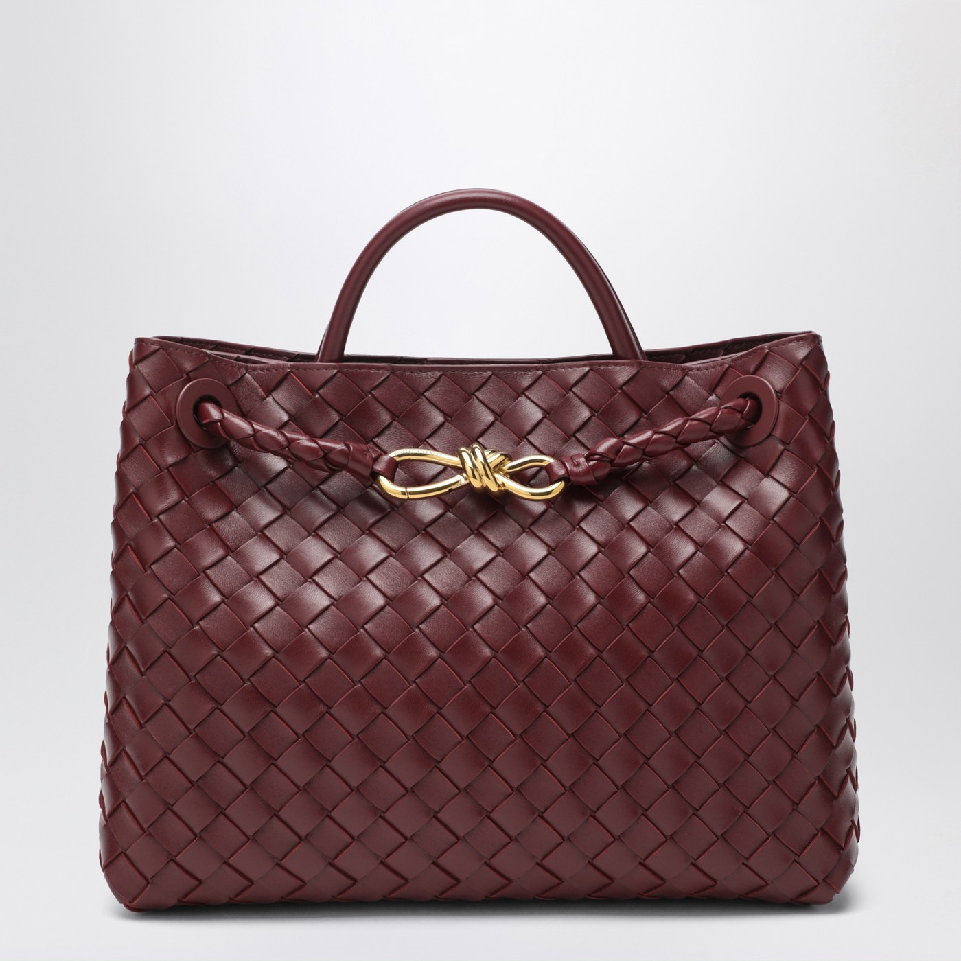 Bottega Veneta Andiamo Barolo medium bag | TheDoubleF